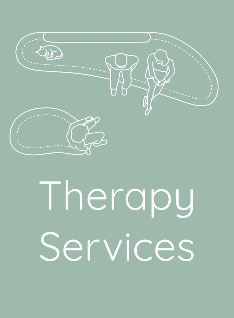 Therapy Services — In-person, remote, or hybrid individual therapy and ...