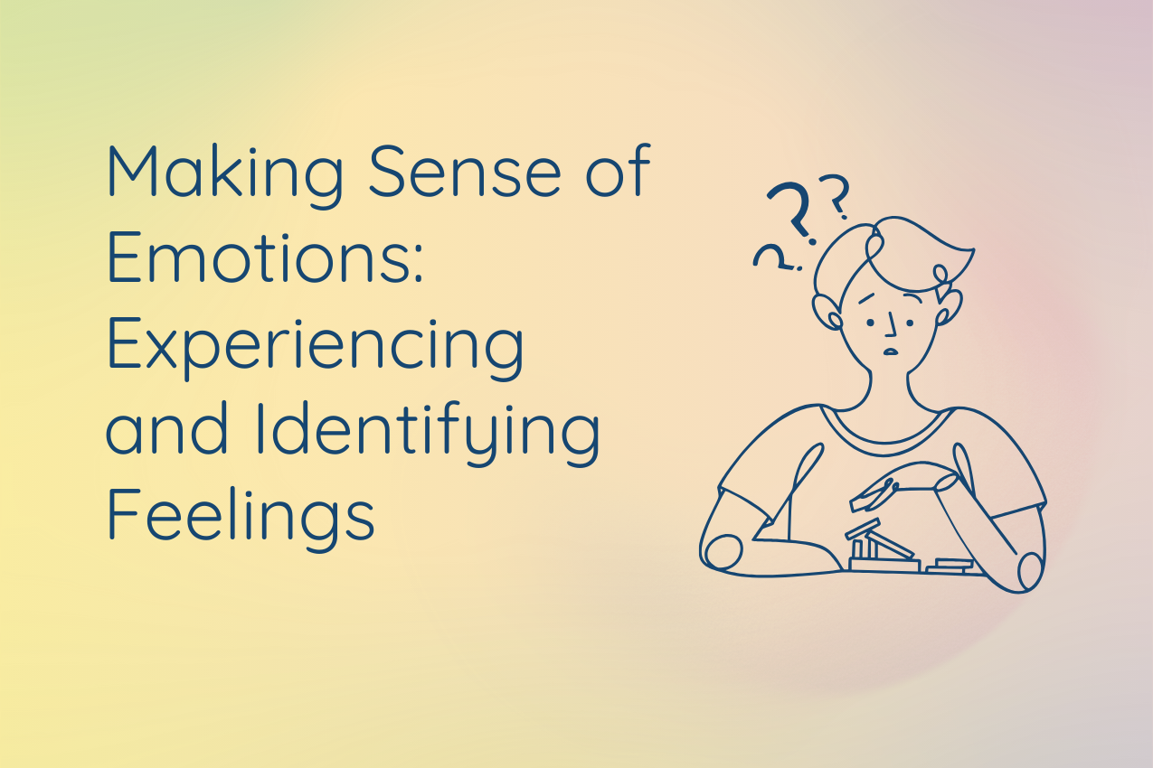 Making Sense of Emotions: Experiencing and Identifying Feelings. Book ...